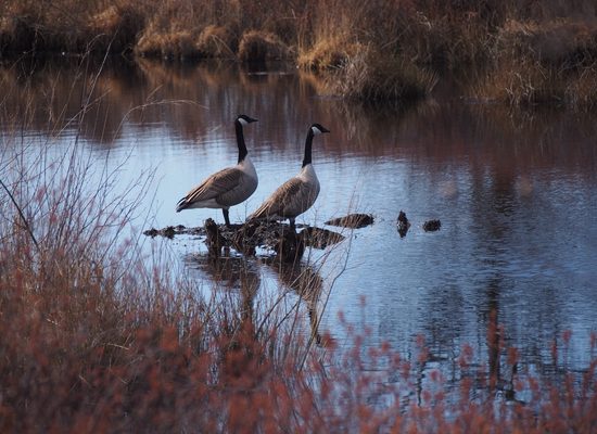 Tagestouren und Wochenendtouren mit Frosch Sportreisen